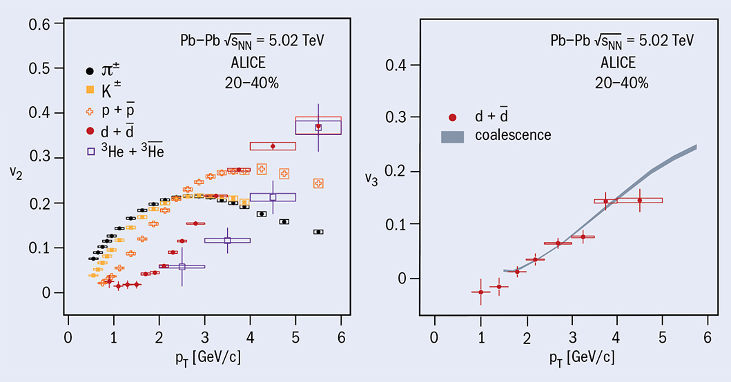 Fragile light nuclei flow through freeze-out – CERN Courier