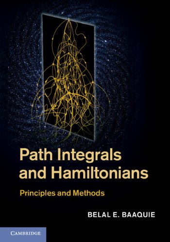 Path Integrals and Hamiltonians: Principles and Methods – CERN Courier