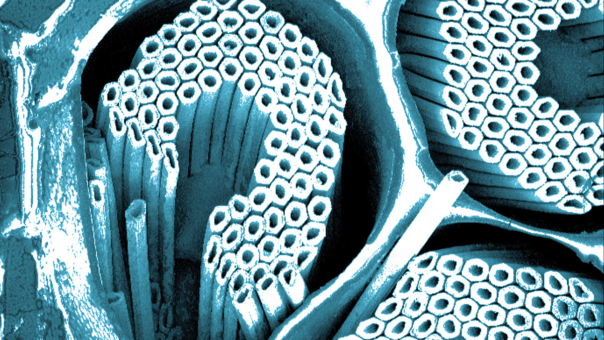 Engineering materials for big science – CERN Courier